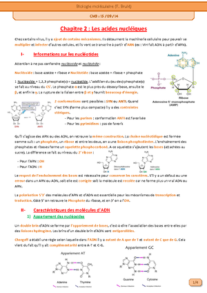 Chap 8 Les modifications post traductionnelles - La maturation est ...