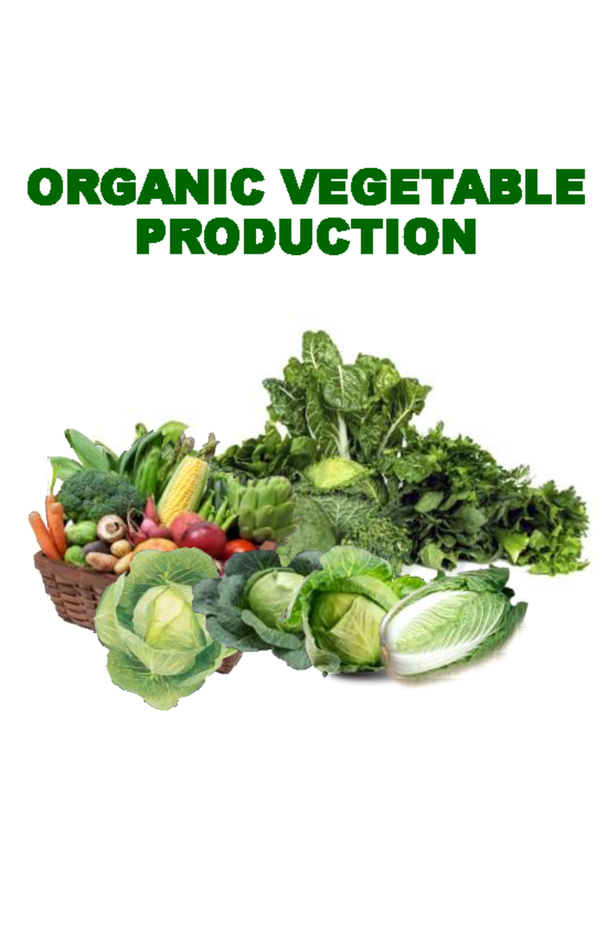 Organic Vegetable Production - ORGANIC VEGETABLE PRODUCTION ...