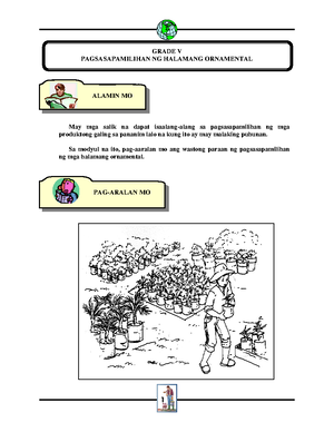 JEL-Plan Juliana Honeylet L. Amper-MT I - Job-Embedded Learning (JEL ...