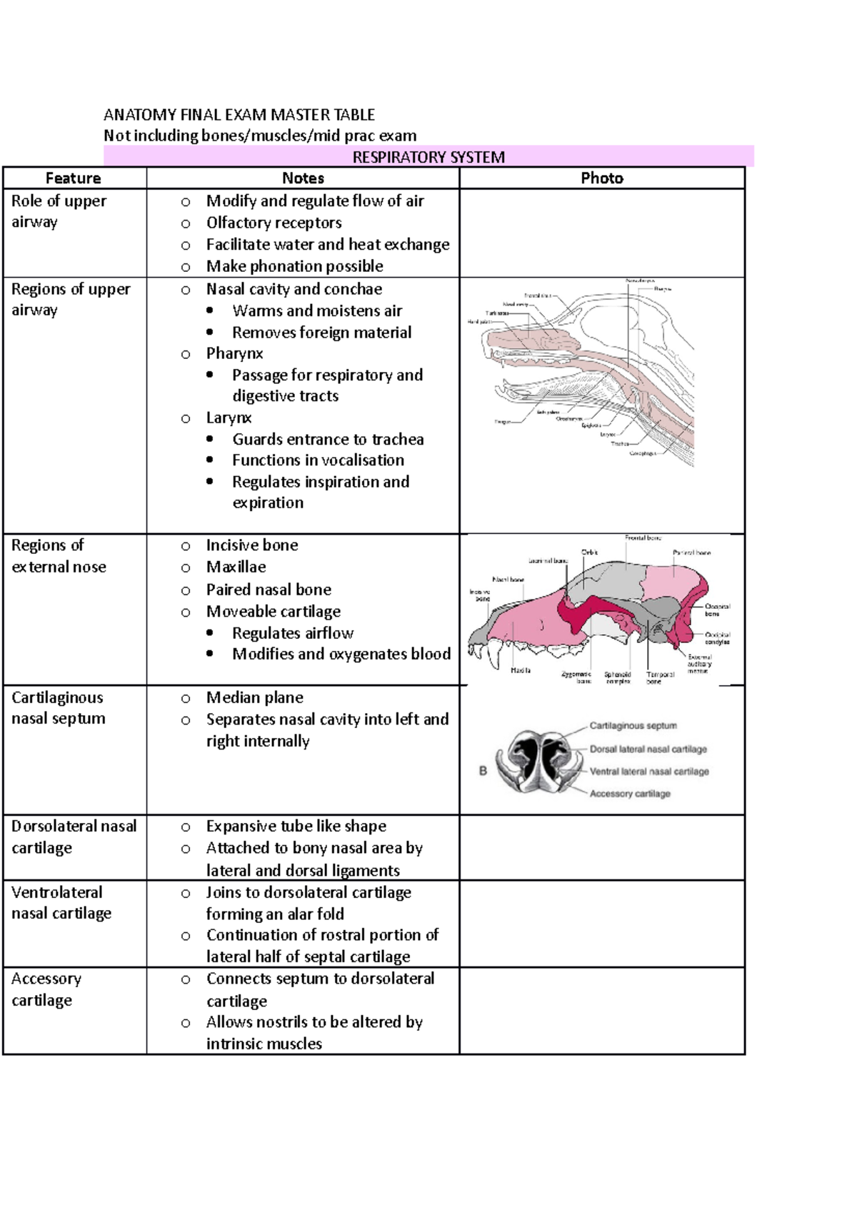 Anatomy Final EXAM Master Table - ANATOMY FINAL EXAM MASTER TABLE Not ...