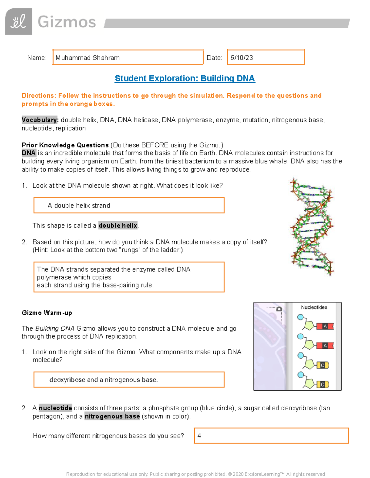 Gizmo - Building DNA - 16076846 - Name: Muhammad Shahram Date: 5/10 ...