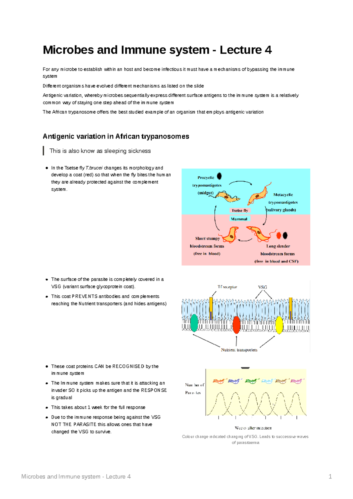 Microbes and Immune system - Lecture 4 - The surface of the parasite is ...