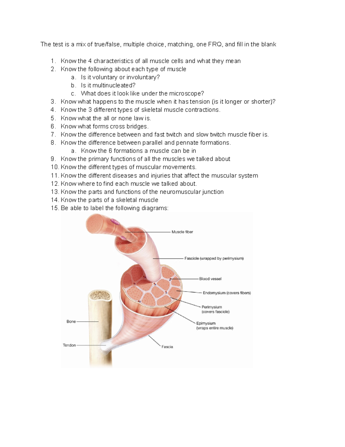 Exam 3 Study Guide - The test is a mix of true/false, multiple choice ...