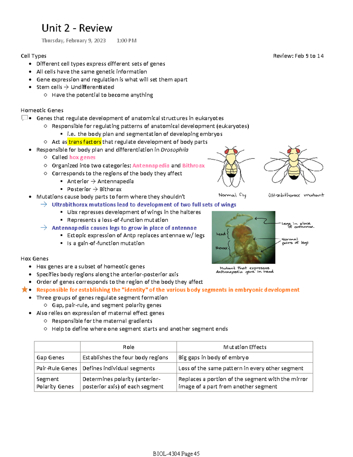 Unit 2 - Developmental Genetics and Genomics Unit Review - Cell Types ...