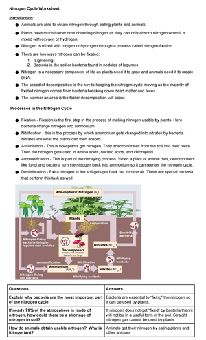Courtney Lyles - Nutrient Cycles - Critical Reading Read these passages ...