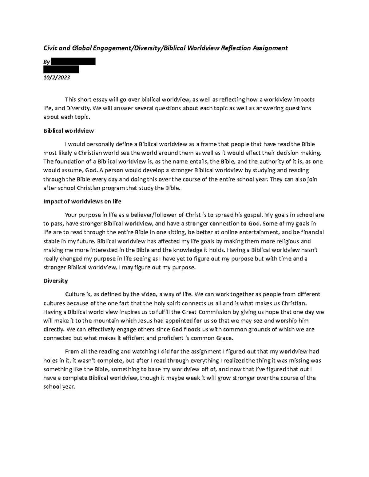 Civic and Global Engagement Diversity Biblical Worldview Reflection ...