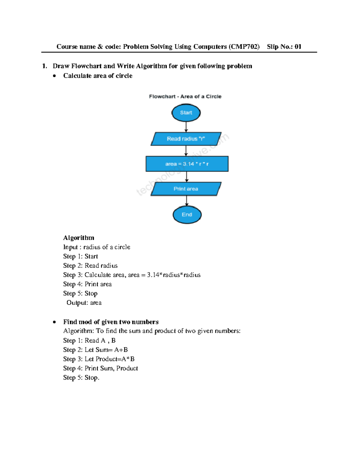 CMP702 Slip 1 - notes - Course name & code: Problem Solving Using ...