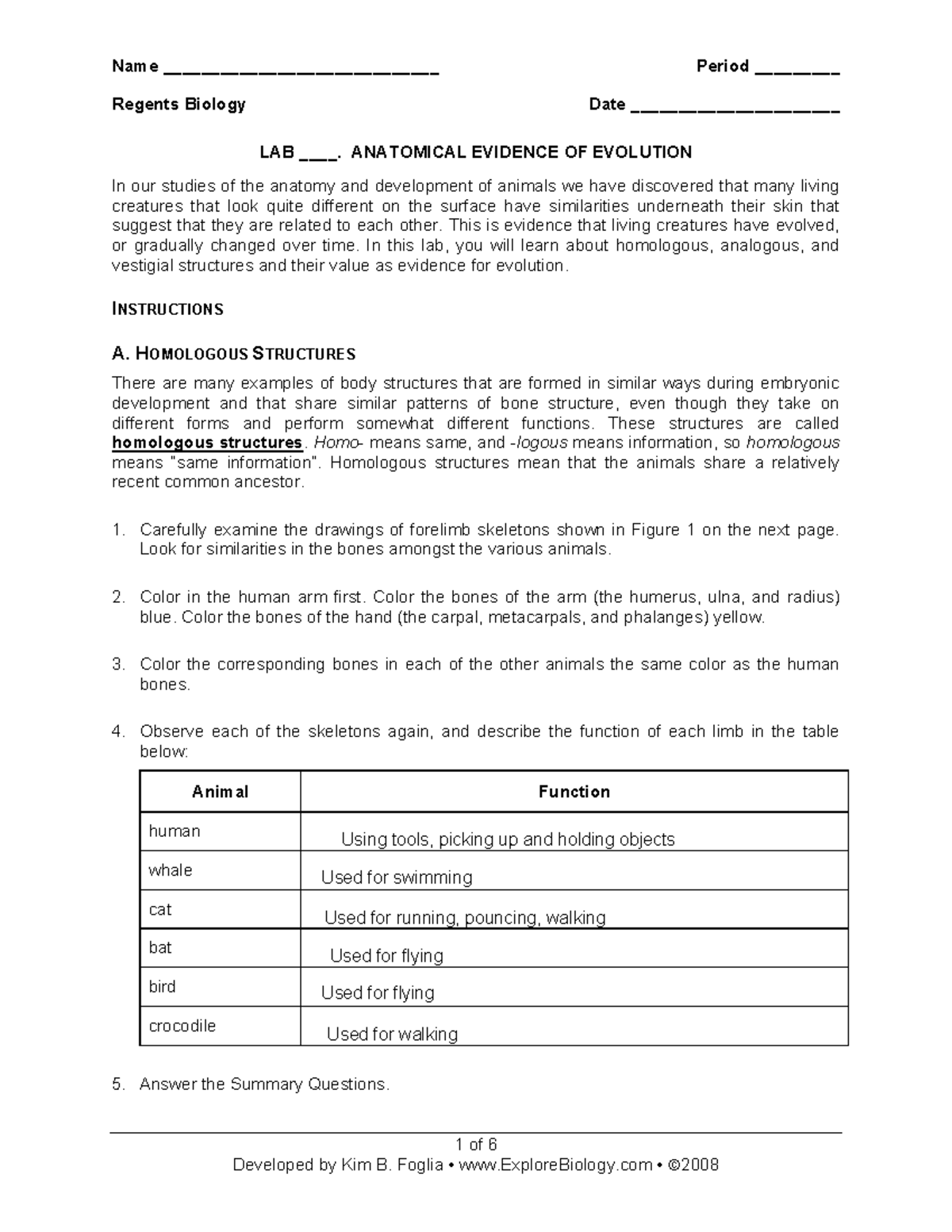 Lab Evidenceof Evolution KEY 2drk28c - Name ...