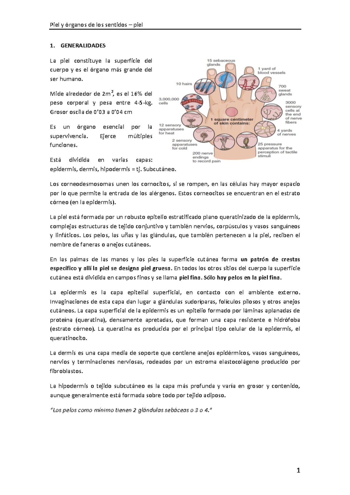 Piel - GENERALIDADES La piel constituye la superficie del cuerpo y es ...