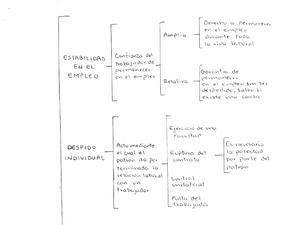 RJTM 6 - Apunte sobre RJTM - Devecn a ev anecev Amplia dovante toda la ...