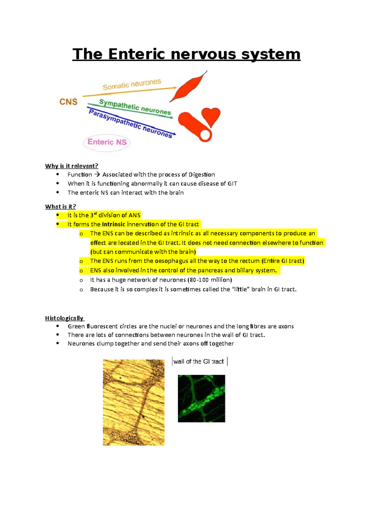 L14 The enteric nervous system - The Enteric nervous system Why is it ...