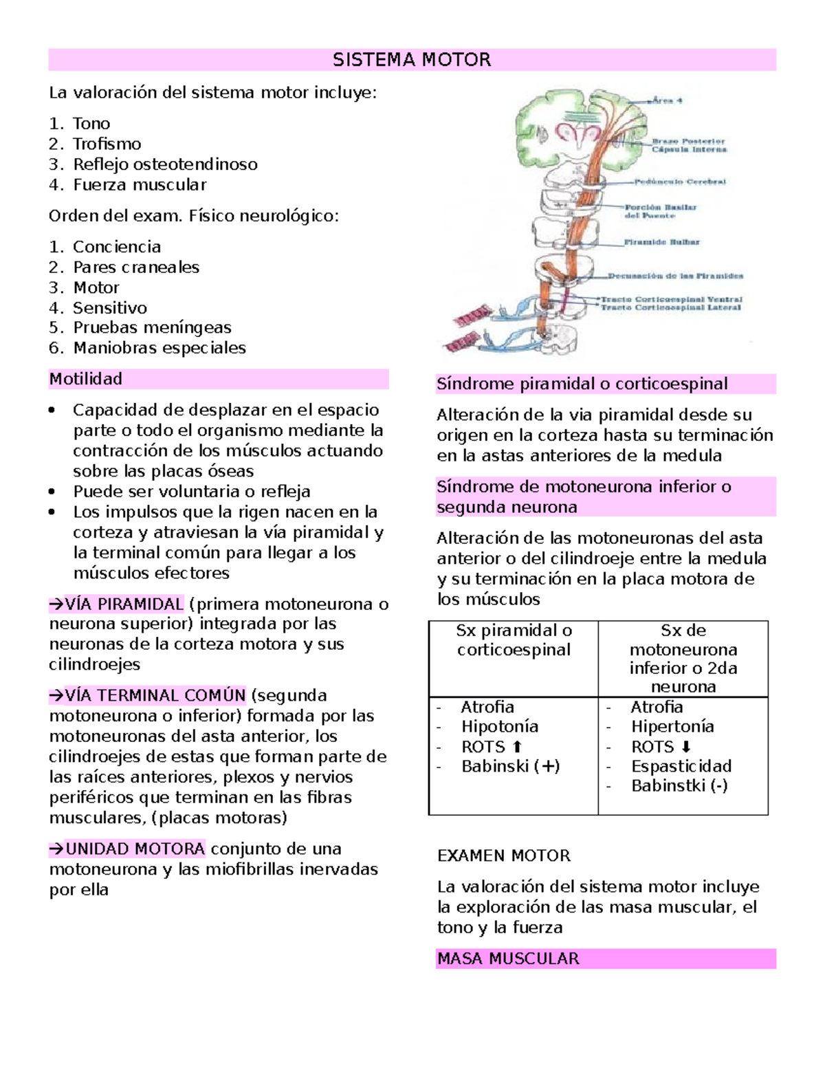 Sistema Motor - SISTEMA MOTOR La valoración del sistema motor incluye ...