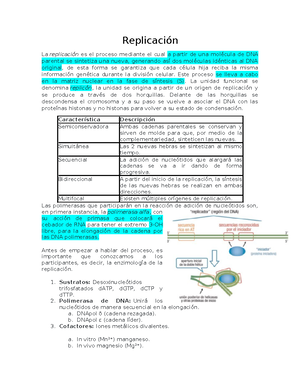 Modelos médico - paciente - Modelo Paternalista. Modelo Informativo ...