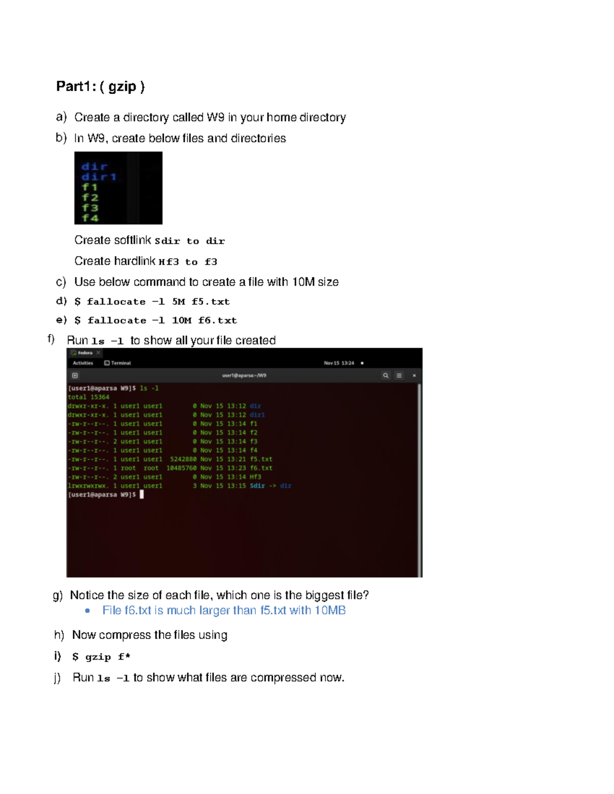 Week 8 - Assignment - Part1: ( gzip ) Create a directory called W9 in your home directory In W9 ...