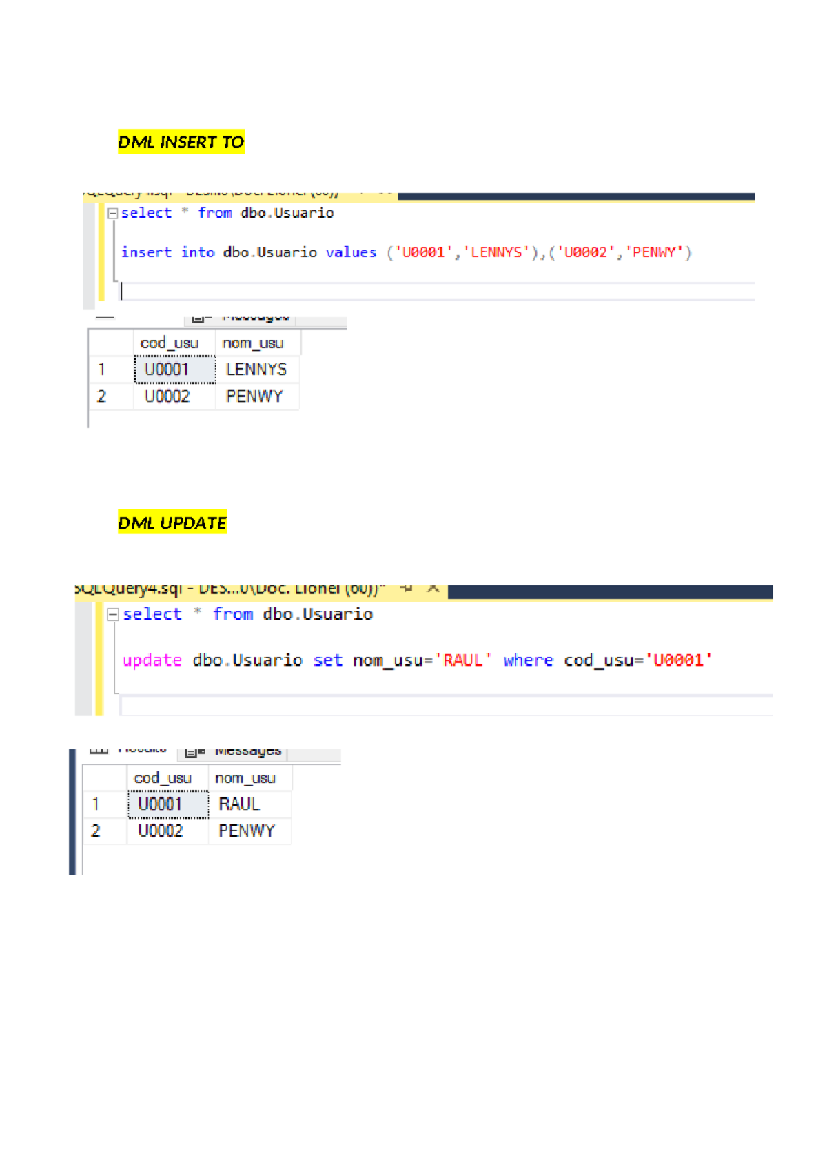 DML Insert TO - dasdsad - DML INSERT TO select * from dbo. Usuario ...