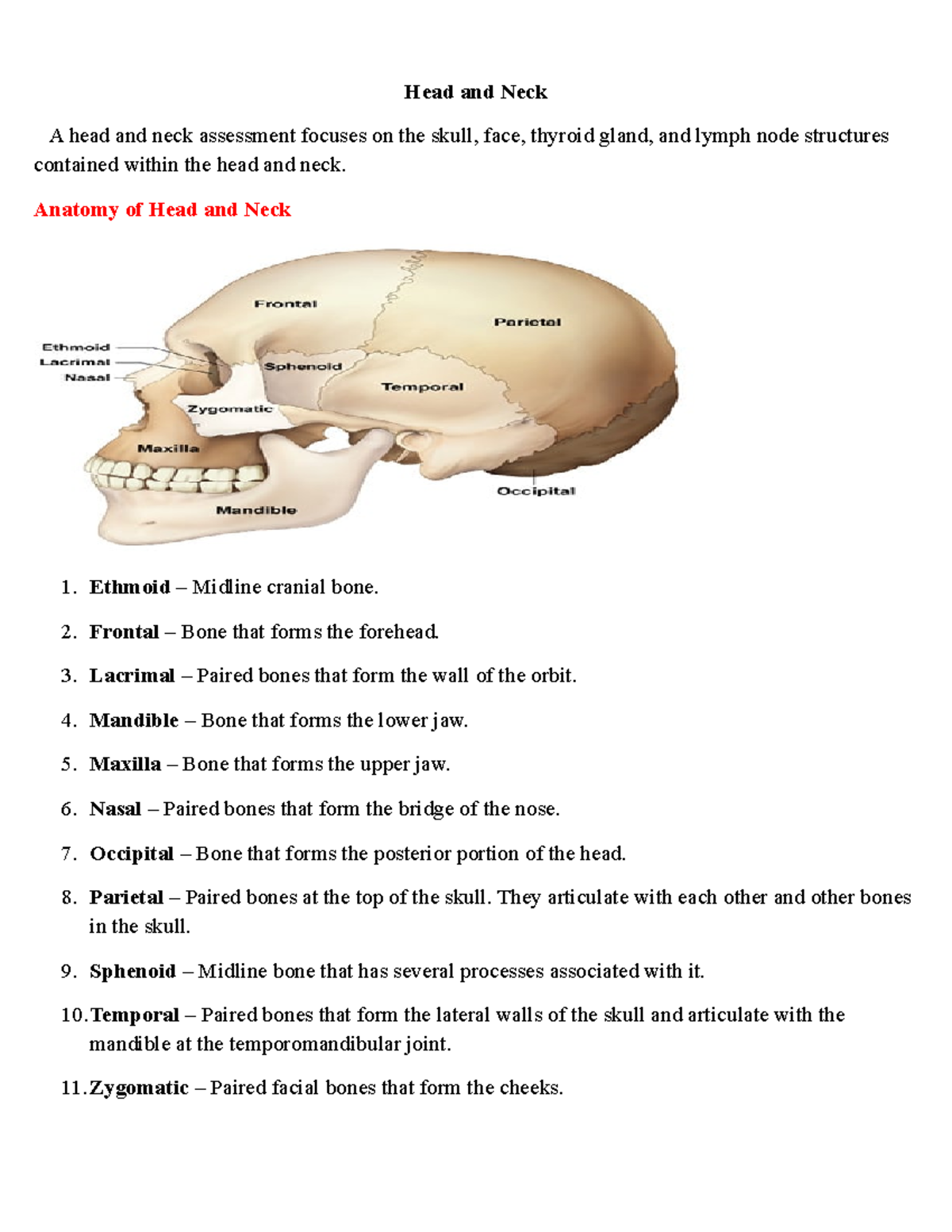 Head and Neck nurssing - Head and Neck A head and neck assessment ...