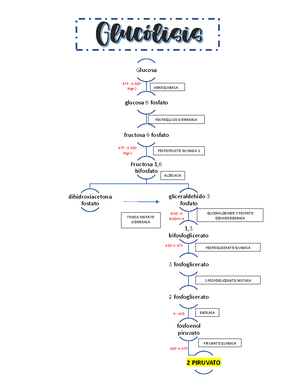 Hipotiroidismo caso clinico - CASO CLINICO HIPOTIROIDISMO NOMBRE: Paula Amaya Montan GRUPO: E ...