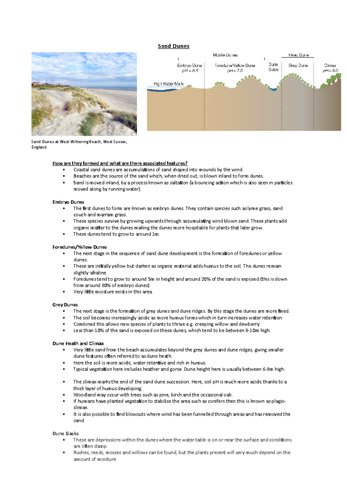 Sand Dunes - Lecture notes - Sand Dunes How are they formed and what ...
