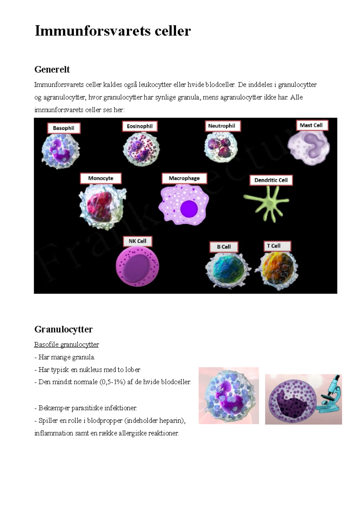 Immunforsvarets celler - Generelt Immunforsvarets celler kaldes også leukocytter eller hvide ...