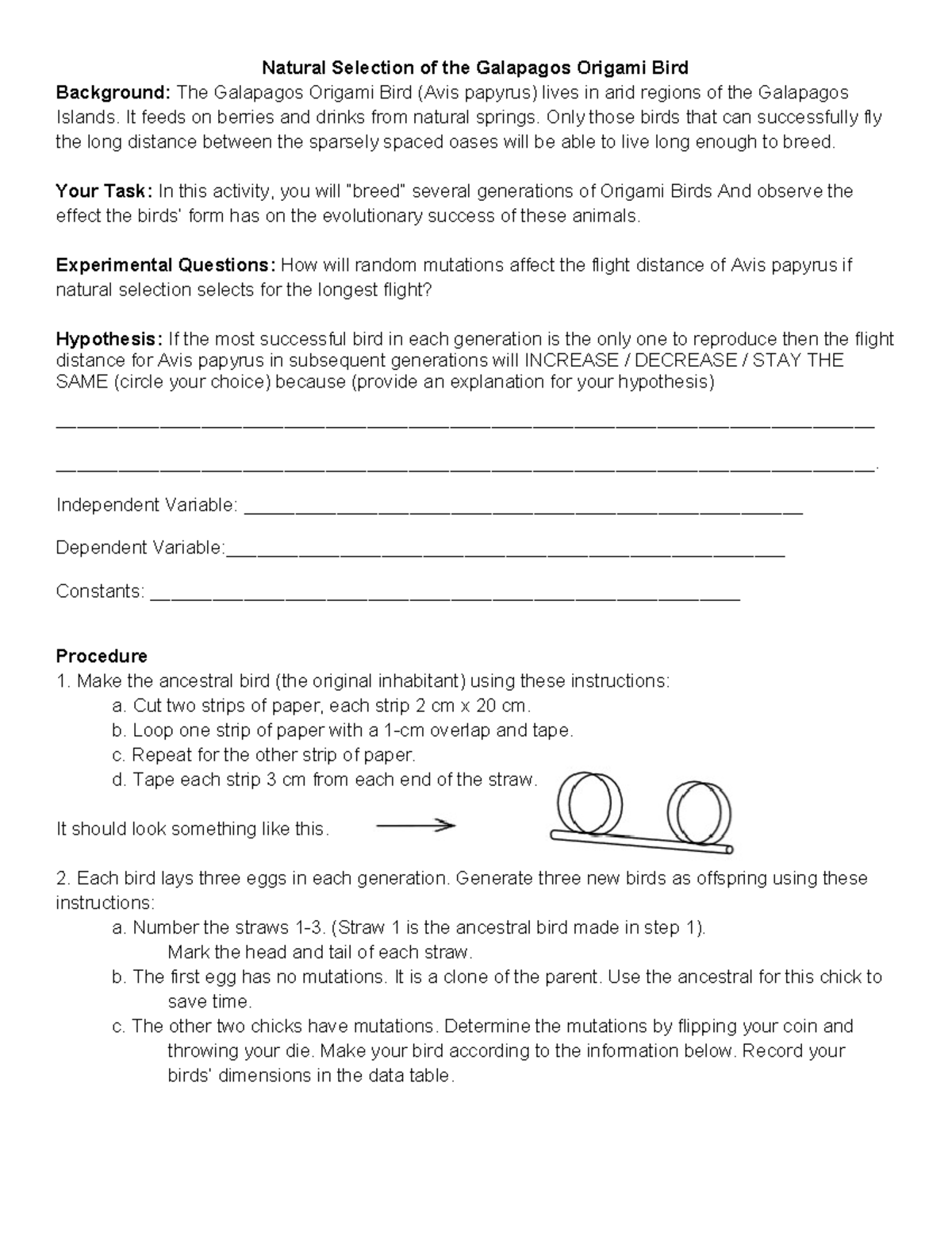LAB Origami Bird Evolution - Natural Selection of the Galapagos Origami ...