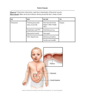 Pediatrics UNIT 2A Notes - PEDIATRICS UNIT 2A NOTES: THE INFANT READ ...