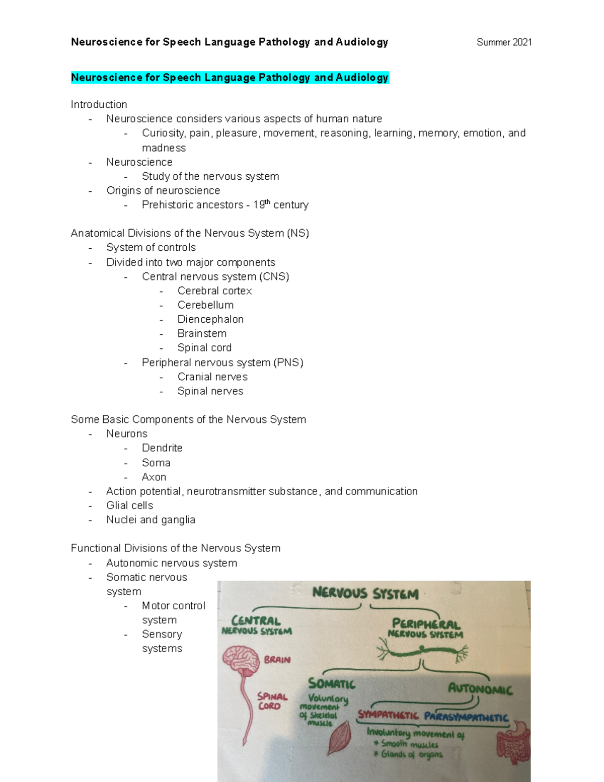 Neuroscience for SLP Notes - Neuroscience for Speech Language Pathology ...