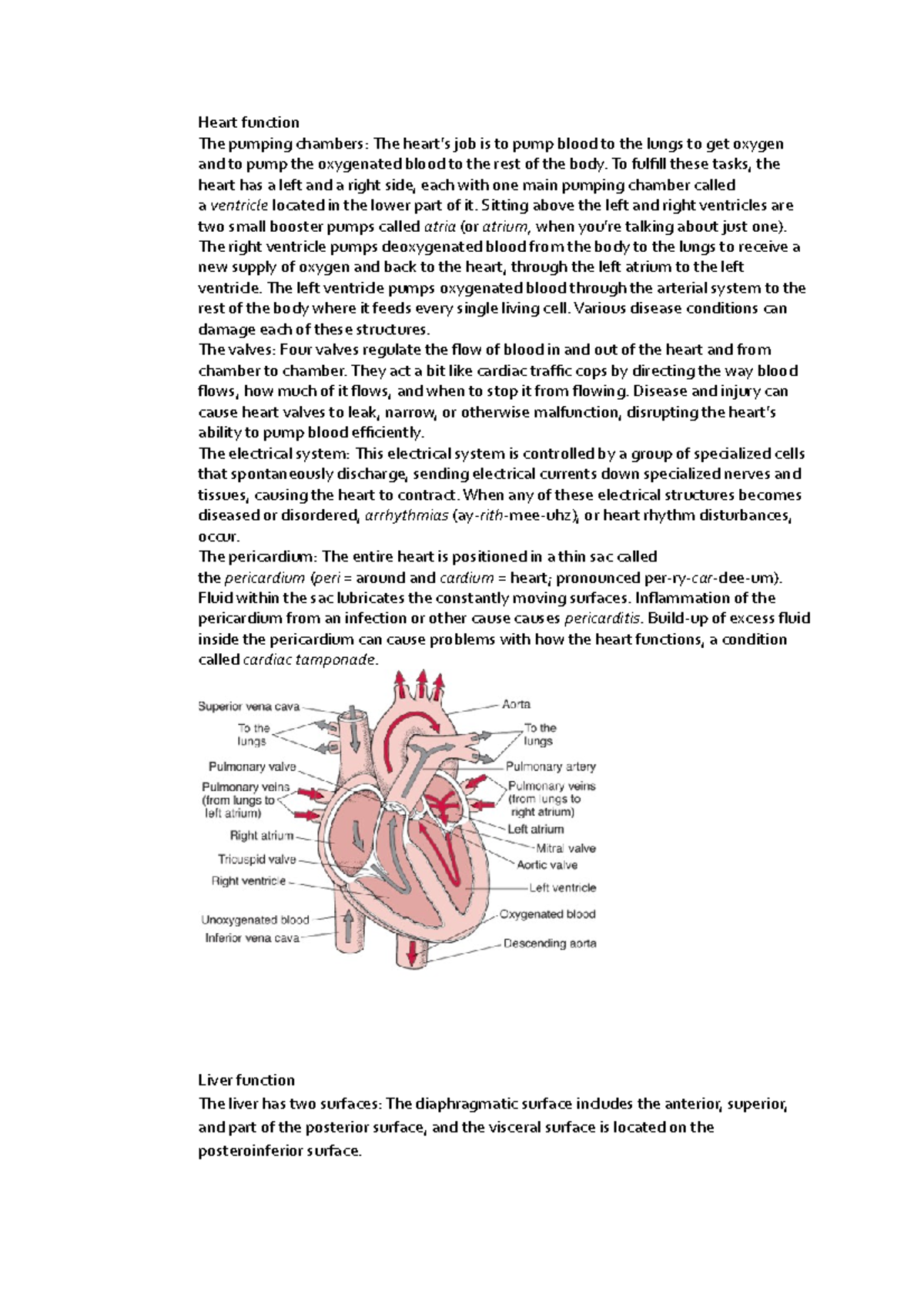 Test 1 BIOL114 lecture notes - Heart function The pumping chambers: The ...