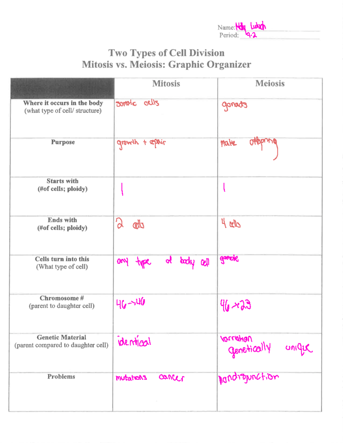 Graphic Organizer Mitosis Meiosis - Droit et économie - STMG - Molly oh ...