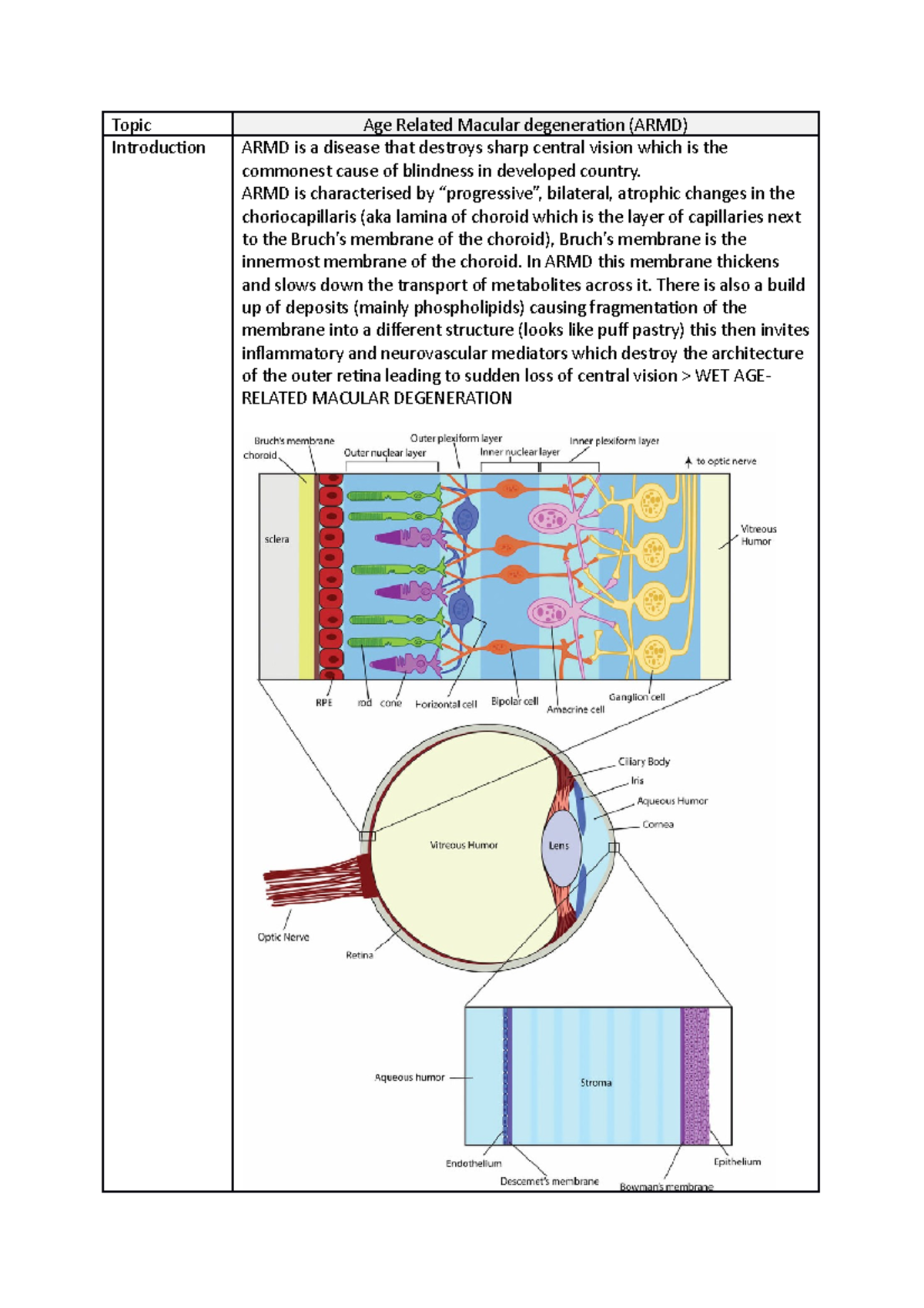Age Related Macular degeneration (ARMD) - ARMD is characterised ...