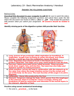 Laboratory 23 – Basic Mammalian Anatomy II Handout - Laboratory 23 ...