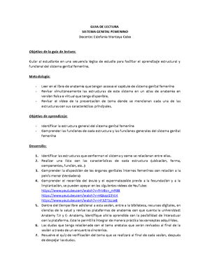 Hándball, Cómo enseñar el deporte hoy - Bloise - Fichas: Metodología de ...