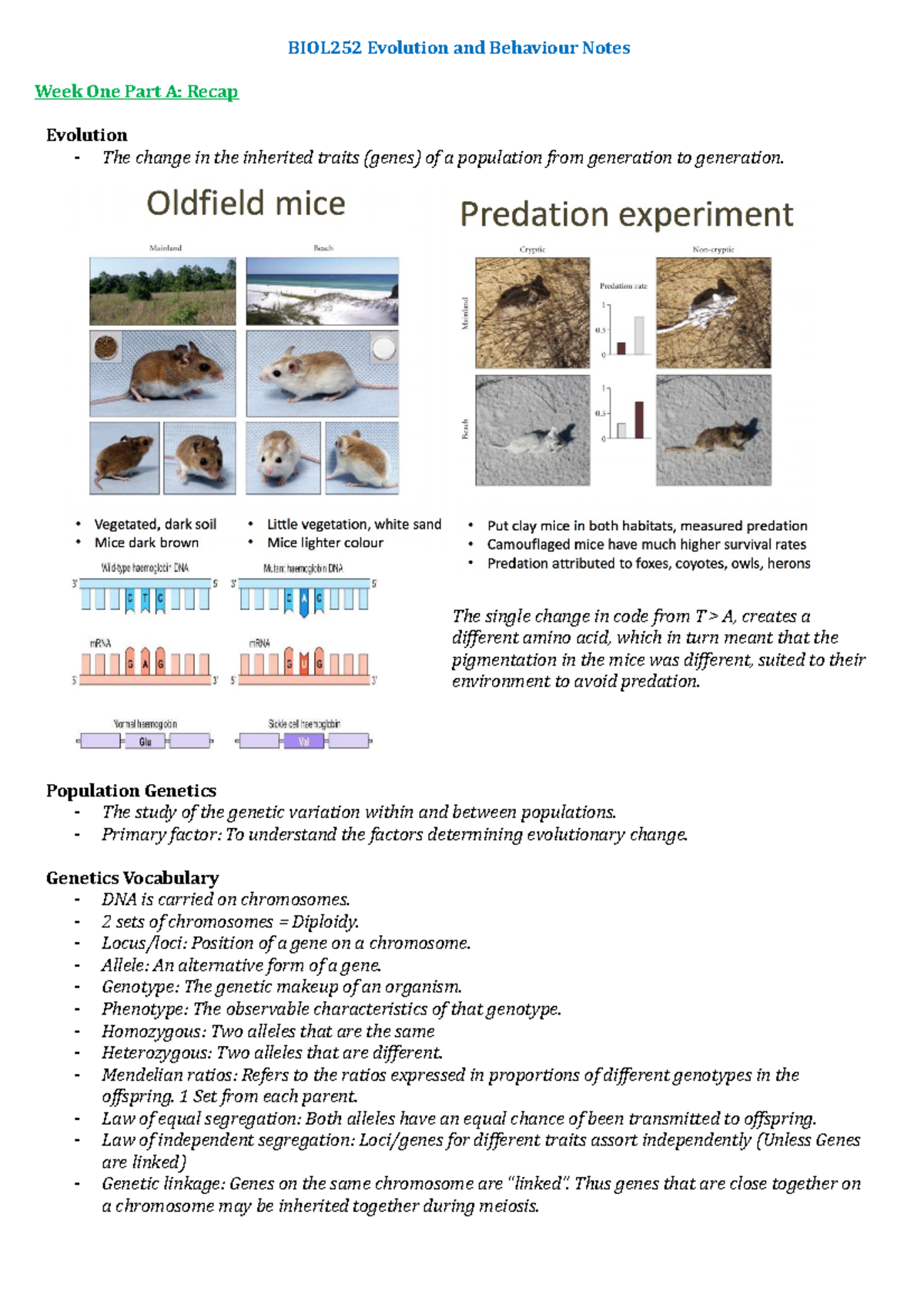 BIOL252 Evolution and Behaviour Notes - The single change in code from ...