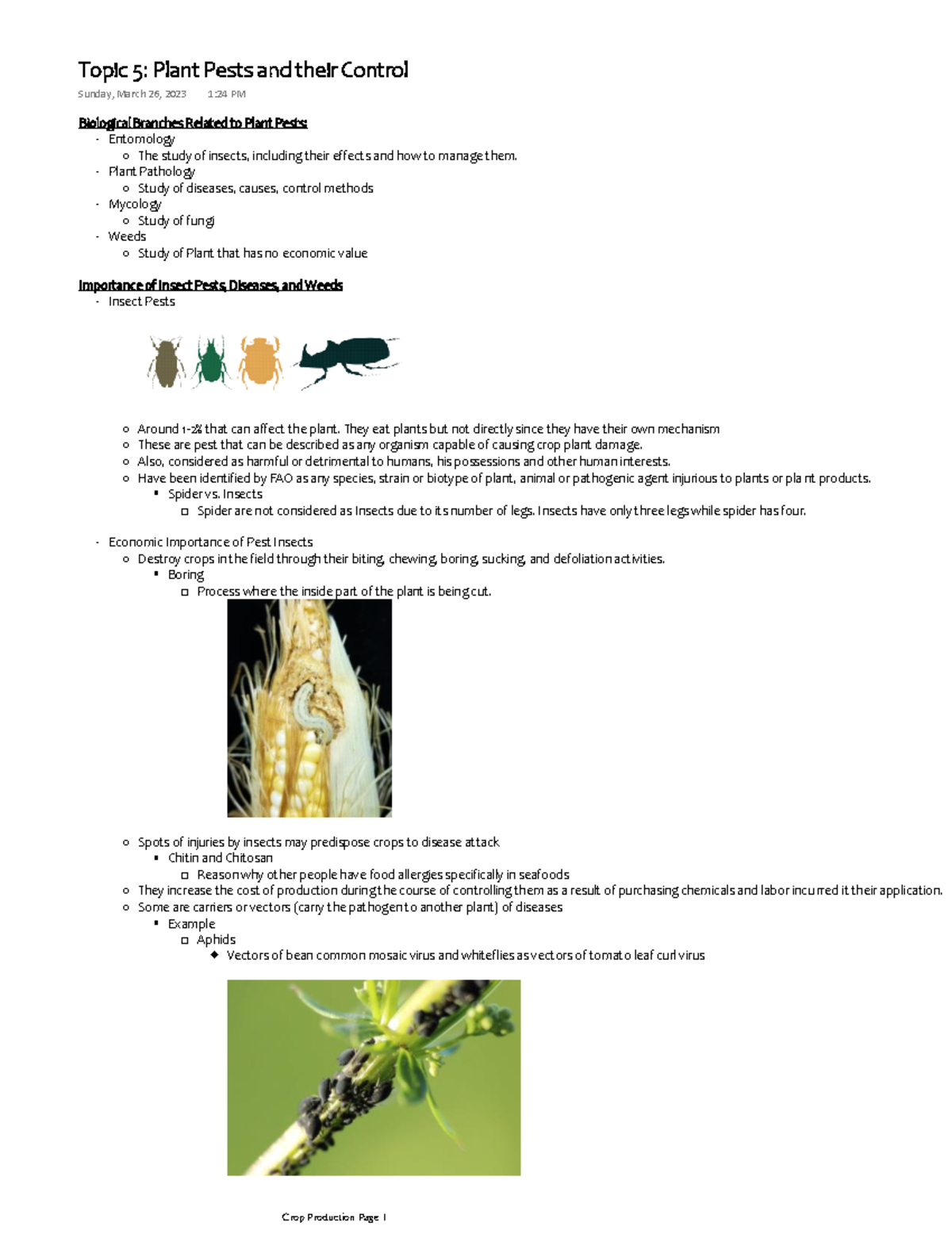 Topic 5 Plant Pests and their Control - Biological Branches Related to ...