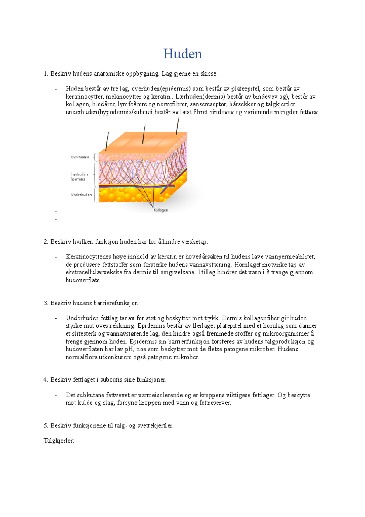 Huden - notat - Huden Beskriv hudens anatomiske oppbygning. Lag gjerne ...