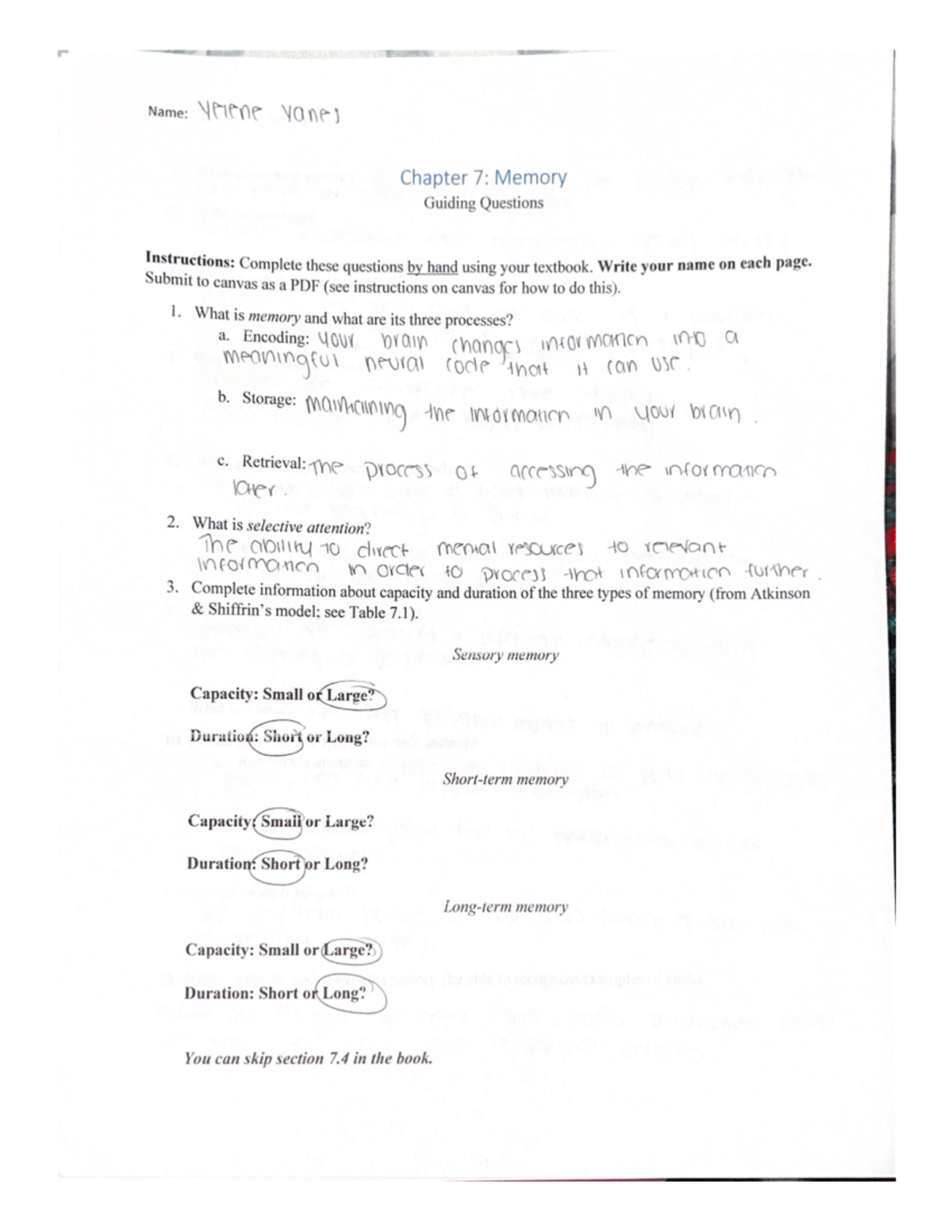 Chapter 7 Memory- YY - Canvas l - PSY2012 - Studocu