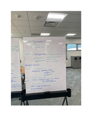 Respiratory Assignment - BIO 245 Fall 2021 25 points Due Thursday Oct ...