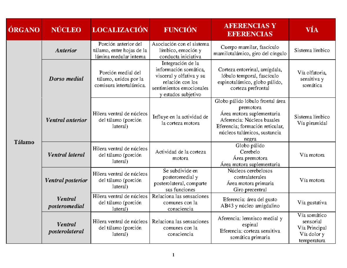 n-cleos-y-v-as-rgano-n-cleo-localizaci-n-funci-n-aferencias-y