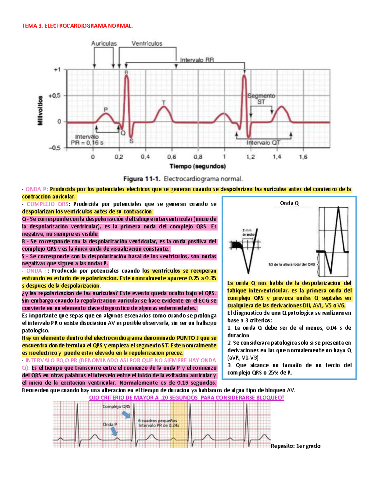 TEMA 3. Electrocardiograma Normal - TEMA 3. ELECTROCARDIOGRAMA NORMAL ...
