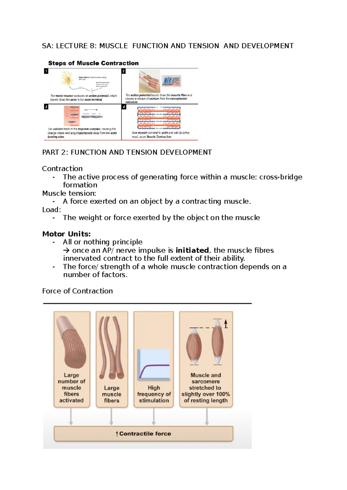 SA- lecture 8 - SA: LECTURE 8: MUSCLE FUNCTION AND TENSION AND ...