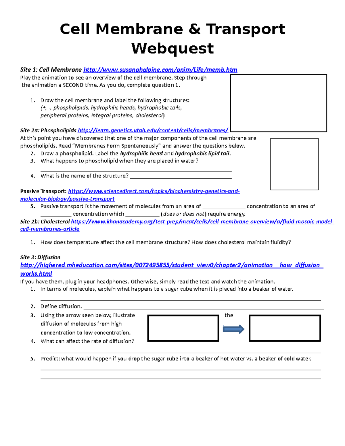 AP Cell membrane and Transport Webquest - Cell Membrane & Transport ...