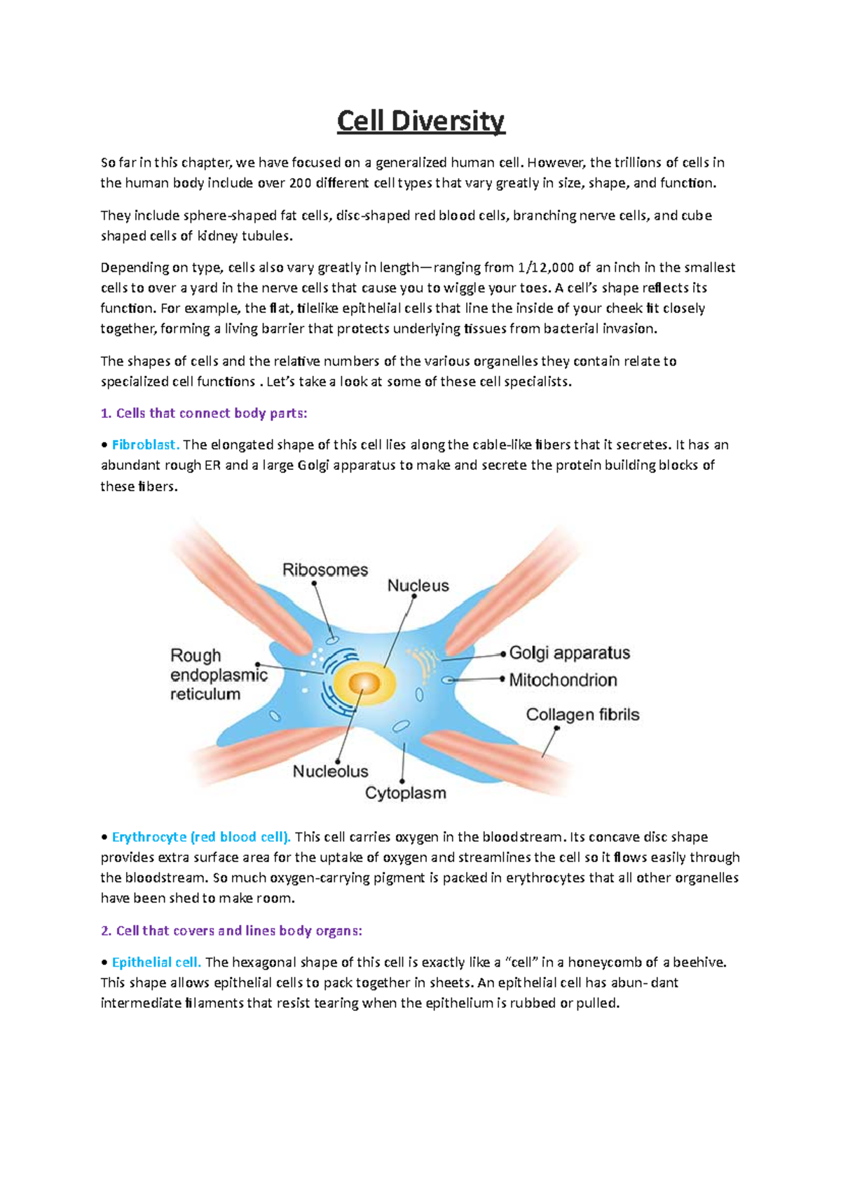 Cell Diversity - However, the trillions of cells in the human body ...