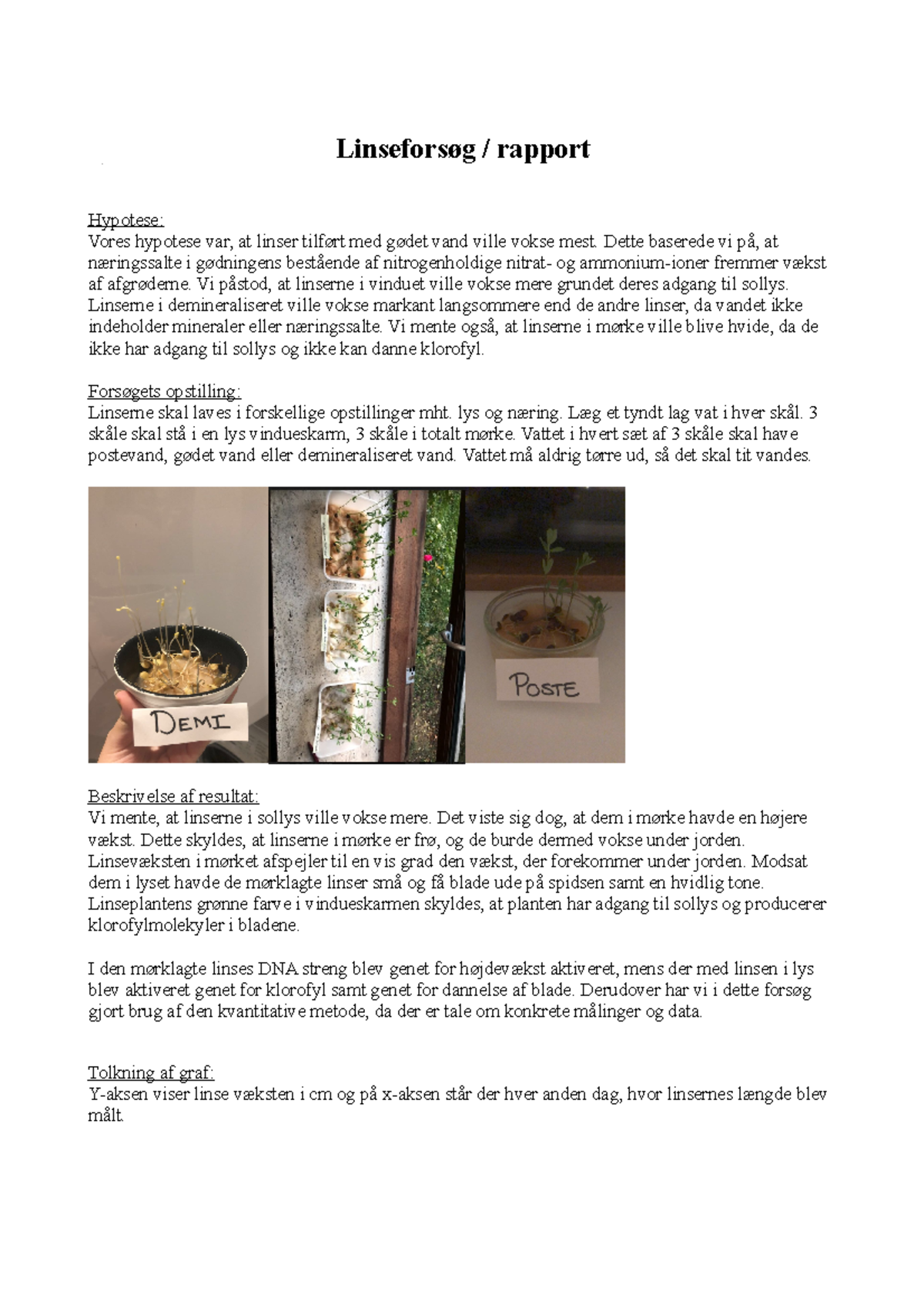 Linsevækst rapport - Linseforsøg / rapport Hypotese: Vores hypotese var ...