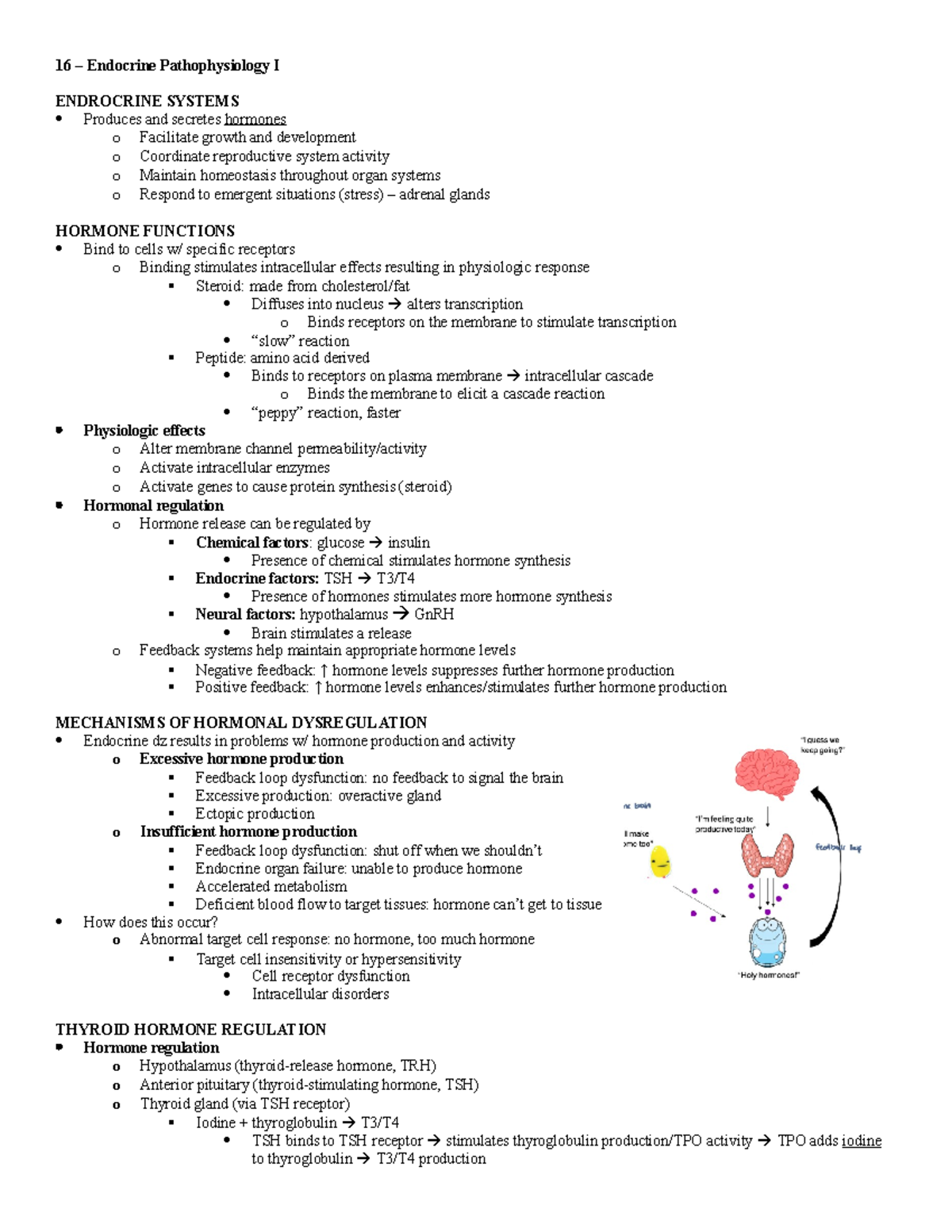 16 - Endocrine Patho I - Hypothyroidism, Hyperthyroidism - 16 – Endocrine Pathophysiology I ...