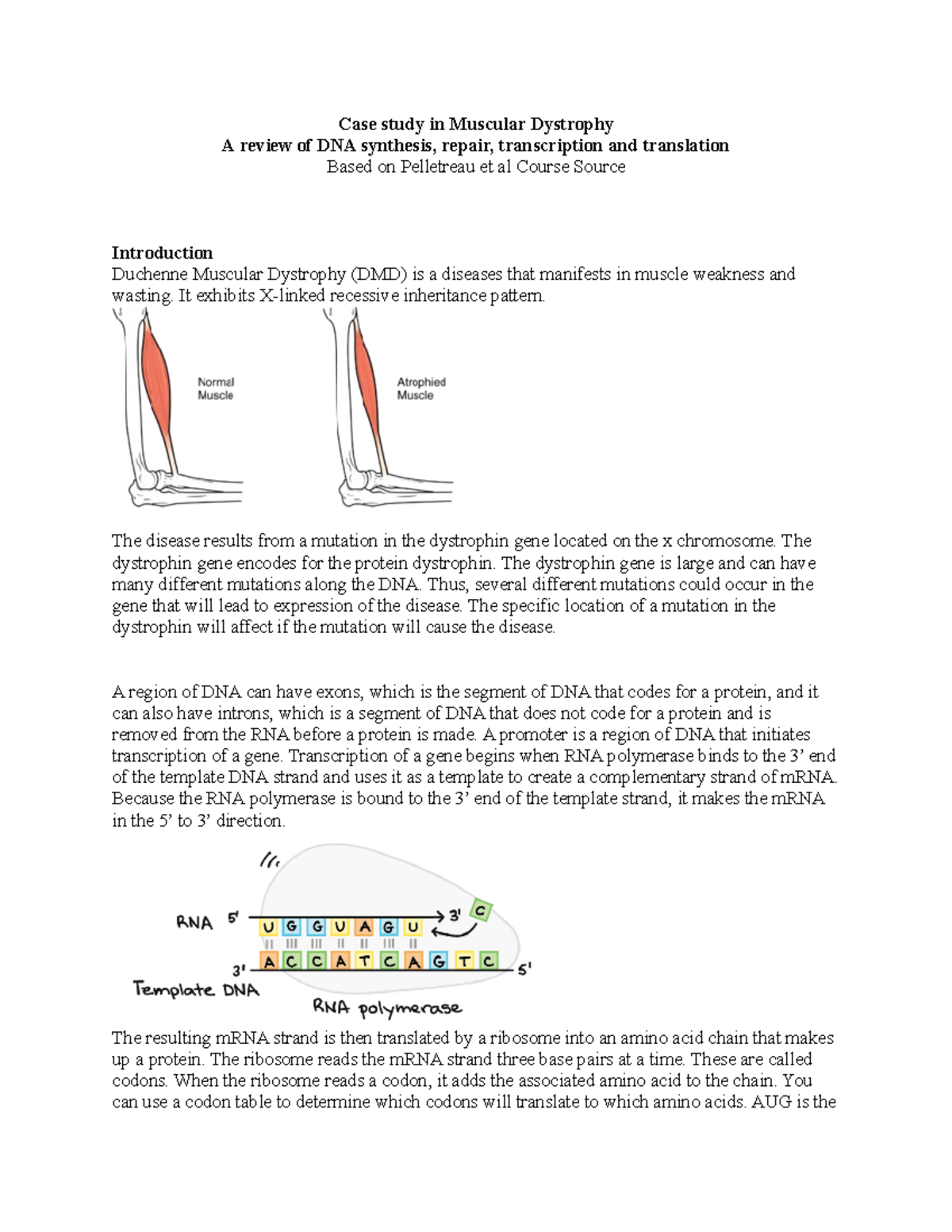 DMD case study report - Case study in Muscular Dystrophy A review of ...