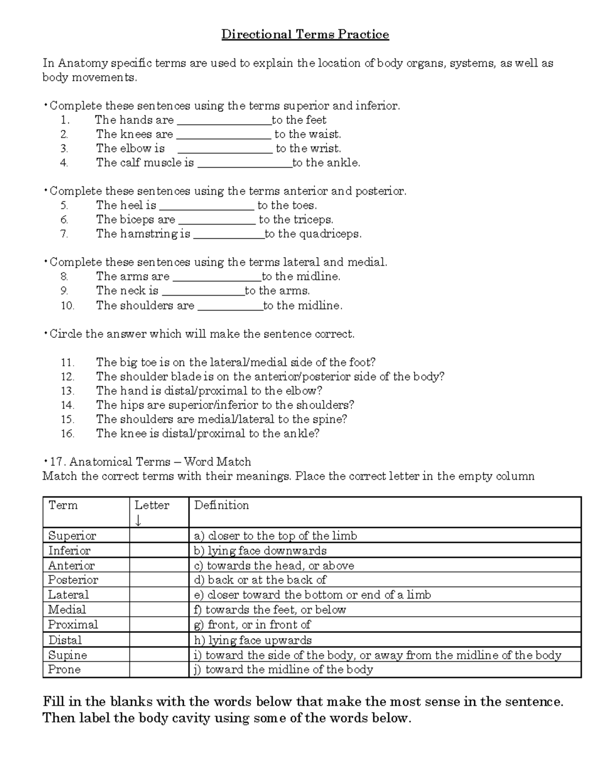 0 Review cavities planes regions anatomical terms - Directional Terms ...