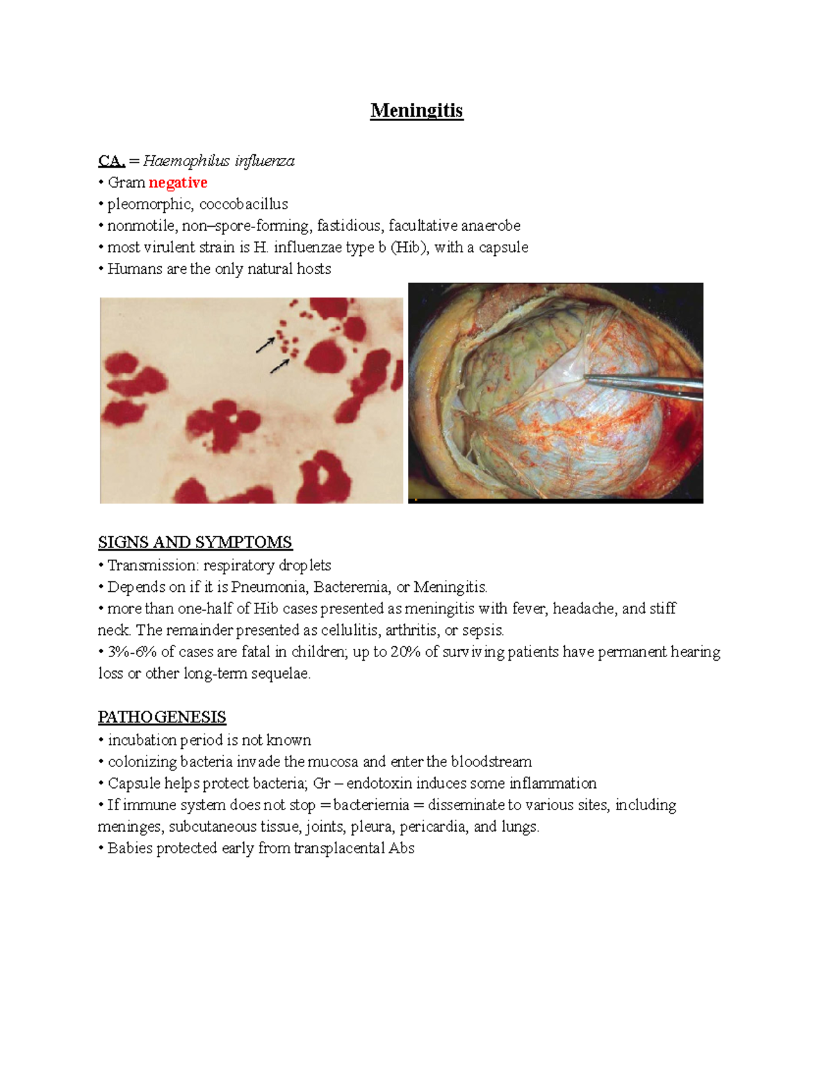 Meningitis - notes - Meningitis CA. = Haemophilus influenza Gram ...