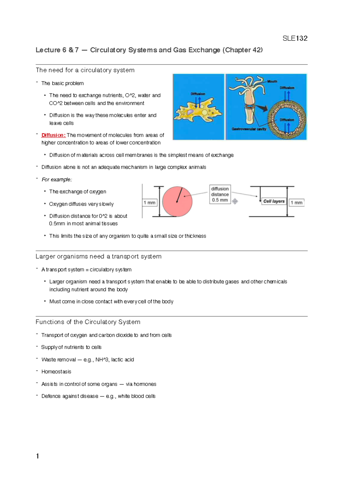 SLE132 Lecture 6 & 7 - Notes - Lecture 6 & 7 — Circulatory Systems and ...