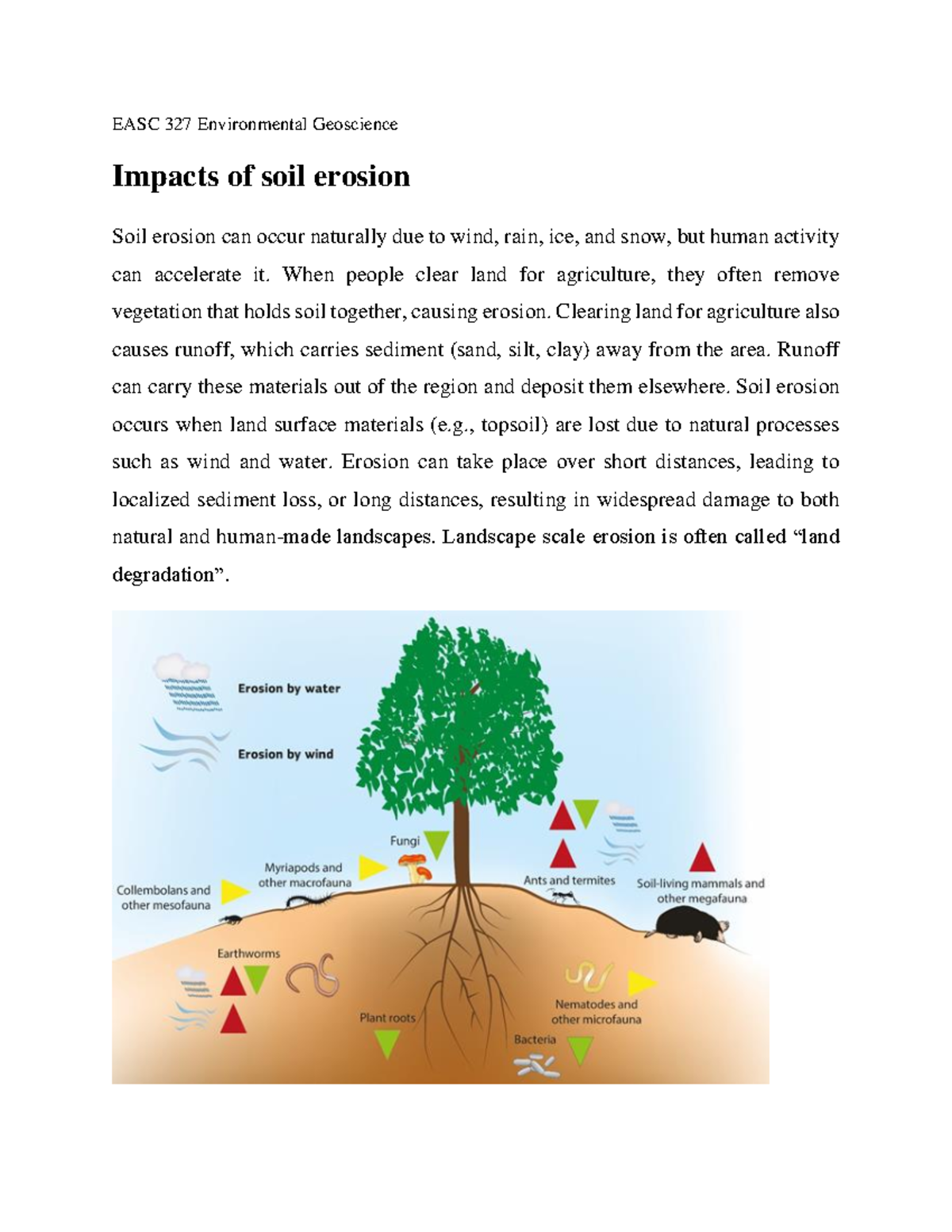 Impacts of soil erosion - EASC 327 Environmental Geoscience Impacts of ...