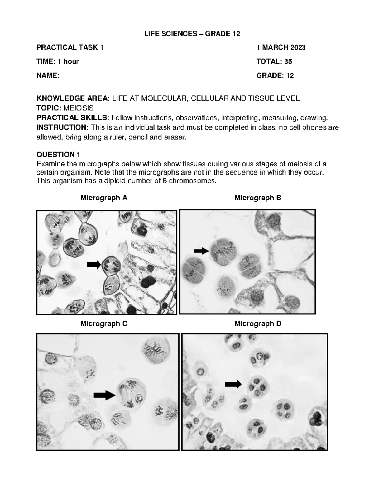 Physical science practical - LIFE SCIENCES – GRADE 12 PRACTICAL TASK 1 ...