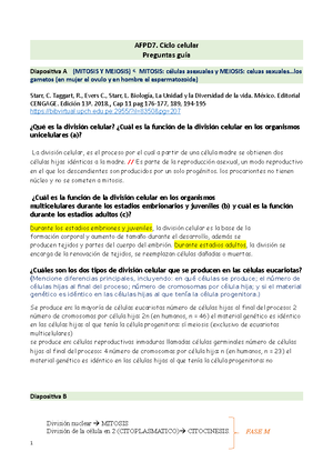Ailette Analysis - Larger neighbours. persuading them to concur. Papers ...
